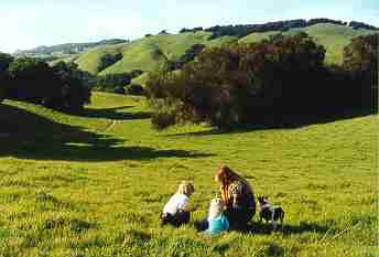 June 1998 Lafferty flyer