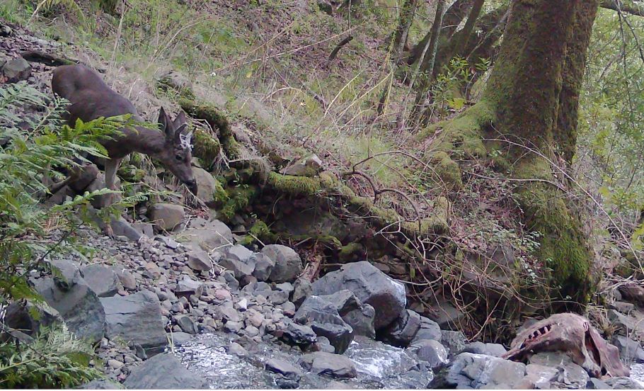 March 2024 wildlife photos