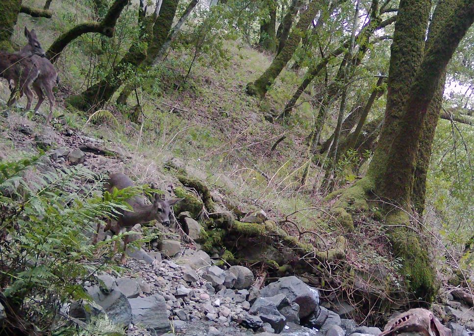 March 2024 wildlife photos