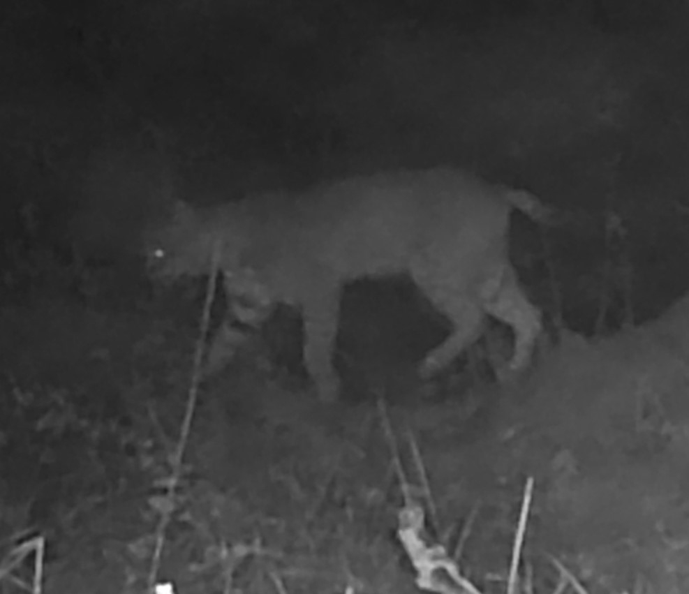 March 2024 wildlife photos