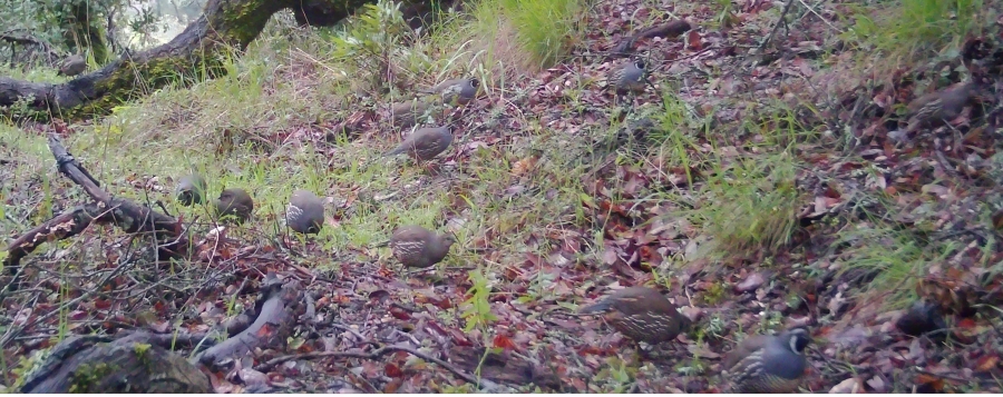 March 2024 wildlife photos