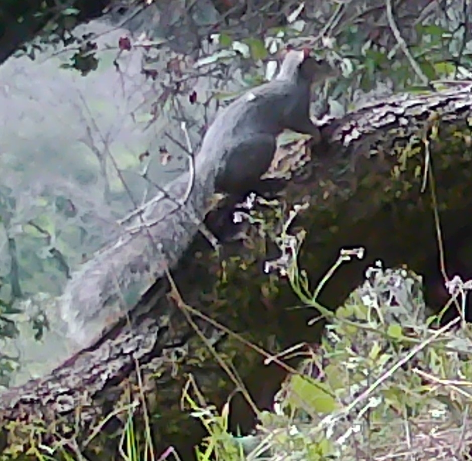 March 2024 wildlife photos