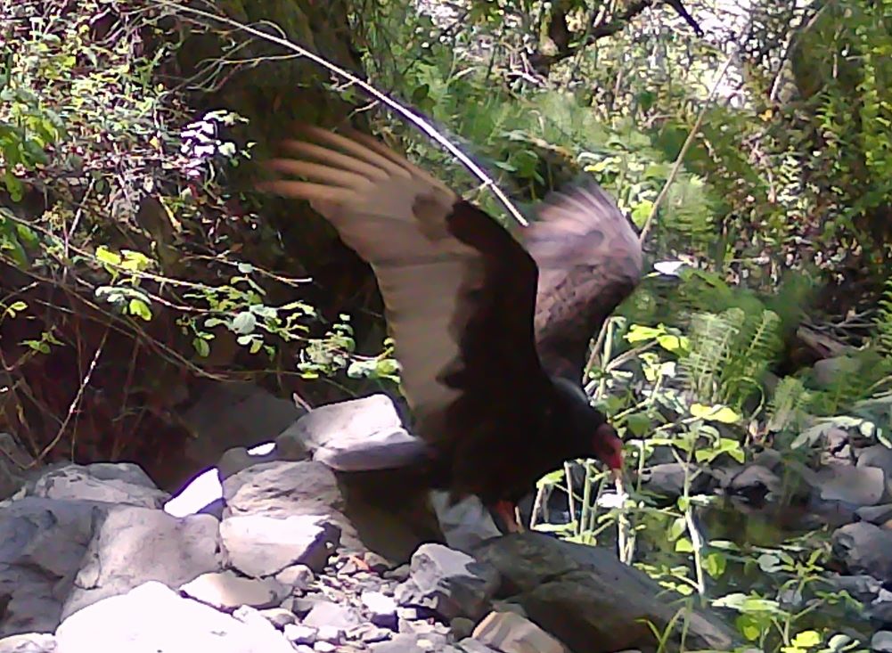 May 2024 wildlife photos